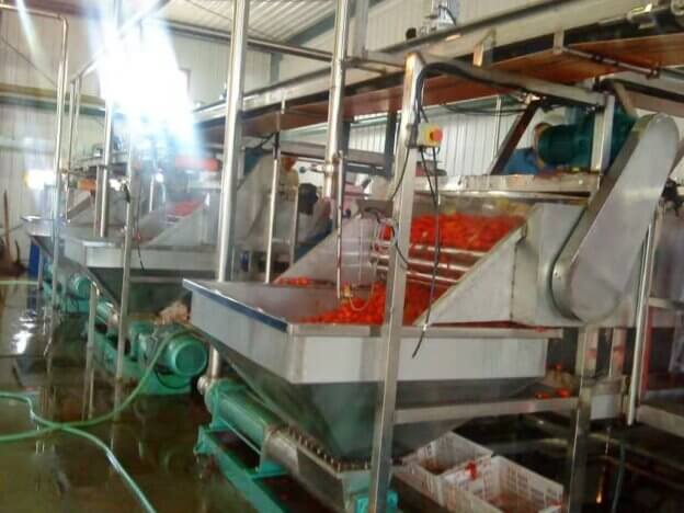 Tomato Paste Processing Line - IBC MACHINE