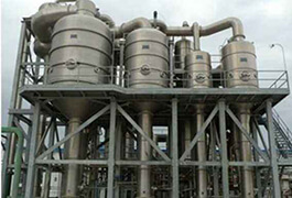 Tomato Processing Line | IBC MACHINE