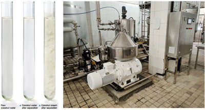 Coconut Processing Line - IBC MACHINE