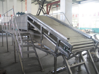 Fruit and Vegetable Roller Sorter Machine | IBC MACHINE