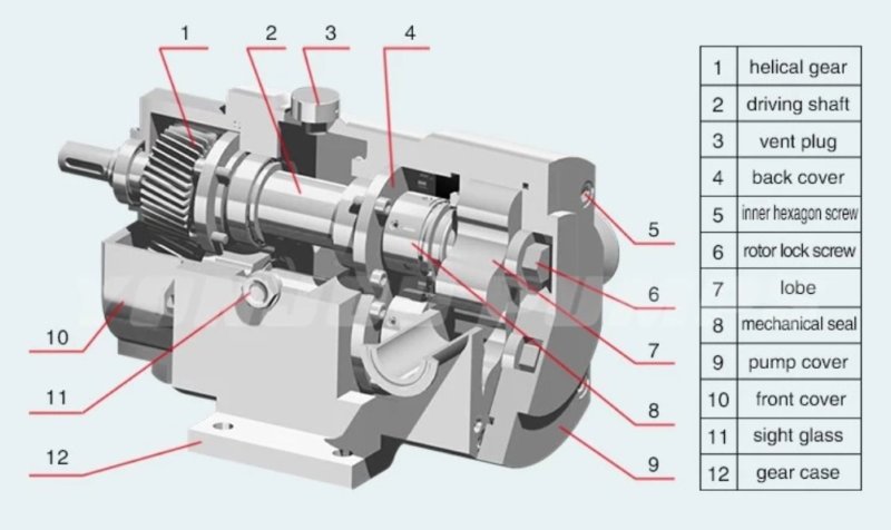 Introduction of Pumps In The Food&Beverage Field | IBC MACHINE