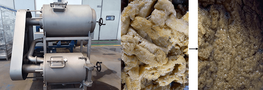 Banana Processing Line/Machinery - IBC MACHINE