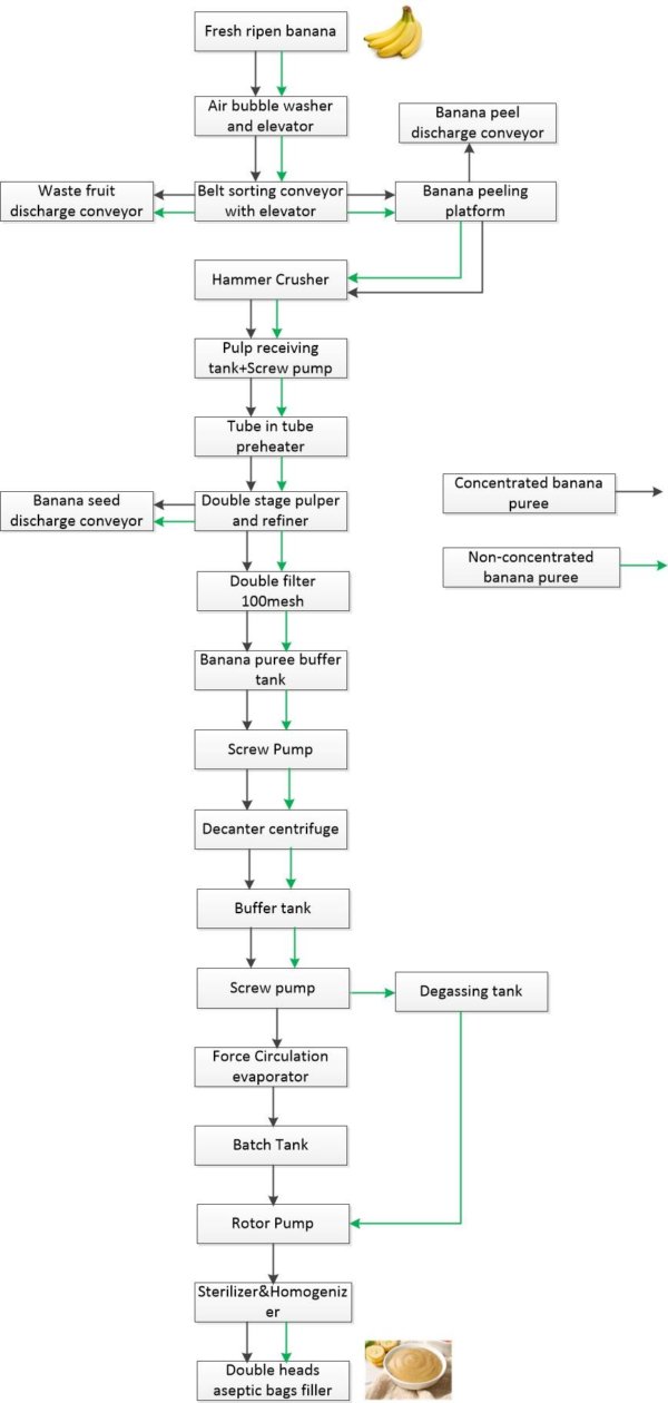 Banana Processing Line/Machinery - IBC MACHINE