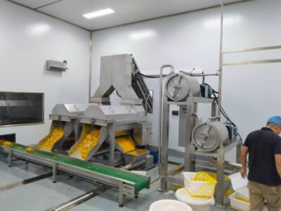 mango destoner and peeler for industrial use - IBC MACHINE