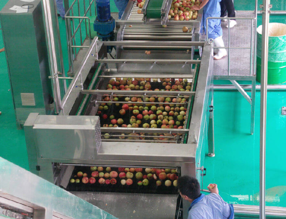 Coconut processing line for water or milk producing | IBC MACHINE