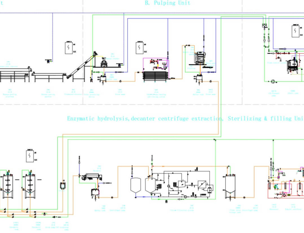 Fruit Juice with Pulp Introduction Drinks Introduction | IBC MACHINE
