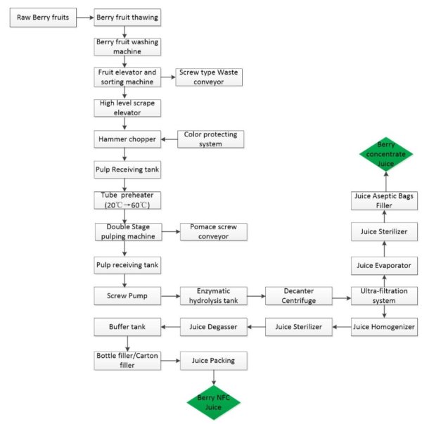 Berry Fruit Processing Line/Machine | IBC MACHINE
