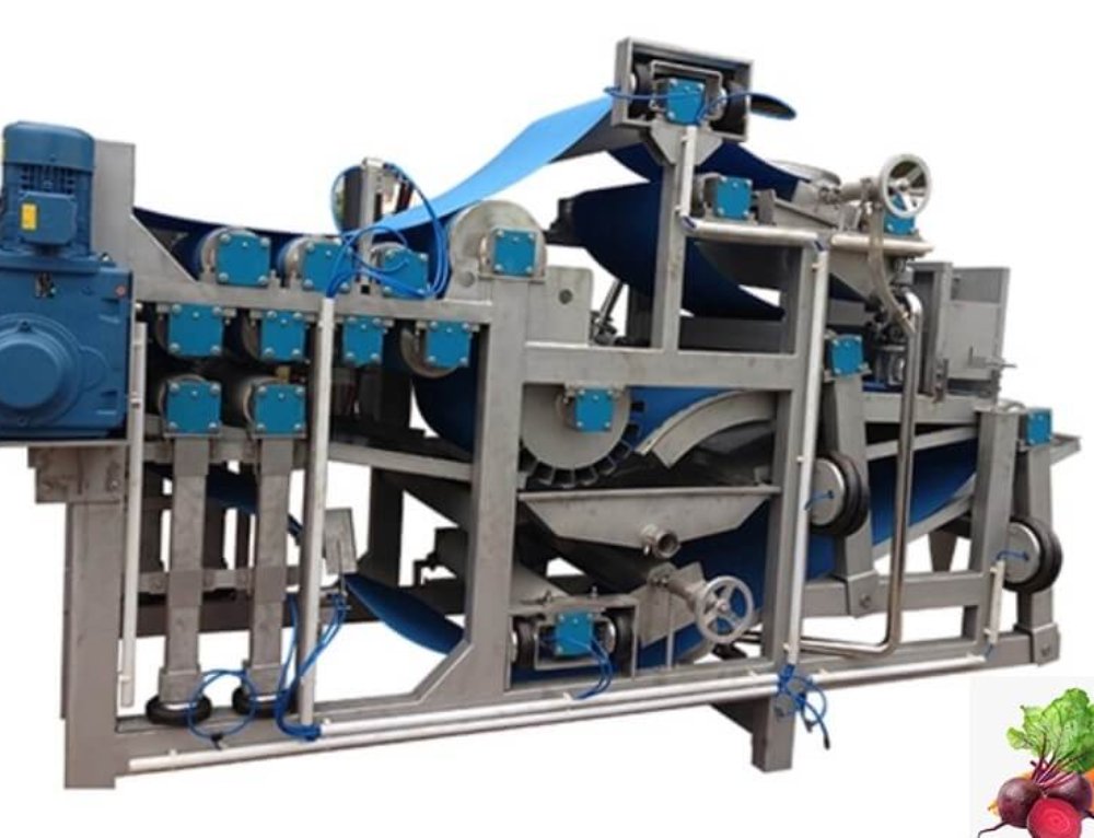 Avocado Processing Line/Equipment | IBC MACHINE