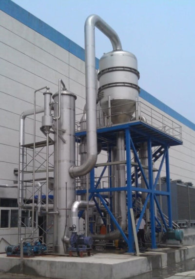 Berry Fruit Processing Line/Machine | IBC MACHINE