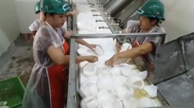 Coconut Processing Line - IBC MACHINE