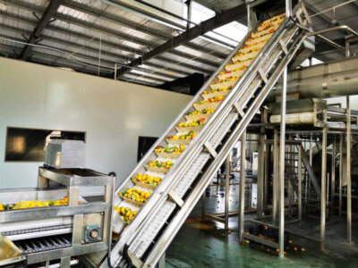 Mango Juice Processing Machine - IBC MACHINE