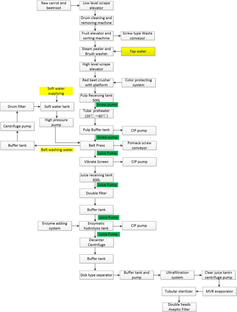 Beetroot And Carrot Processing Line/Machine - IBC MACHINE