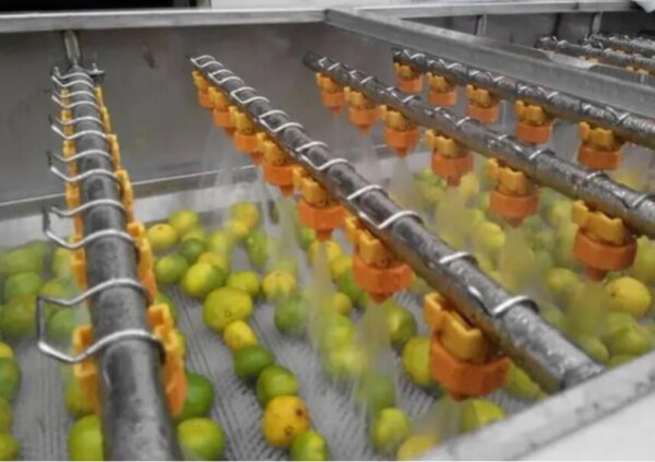 Guava Processing Plant - IBC MACHINE