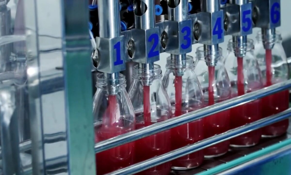 Dragon Fruit Processing Line - IBC MACHINE