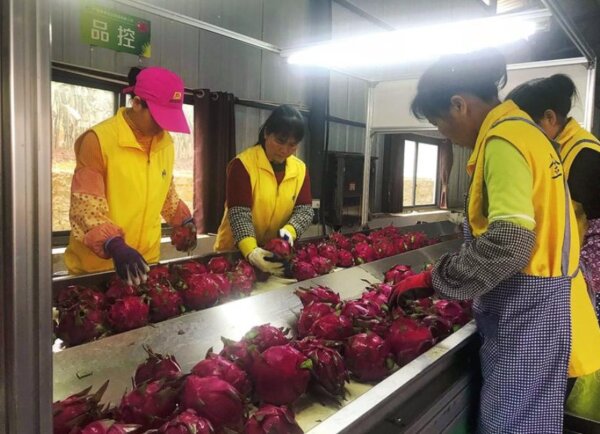 Food and Beverage Processing Equipment - IBC MACHINE