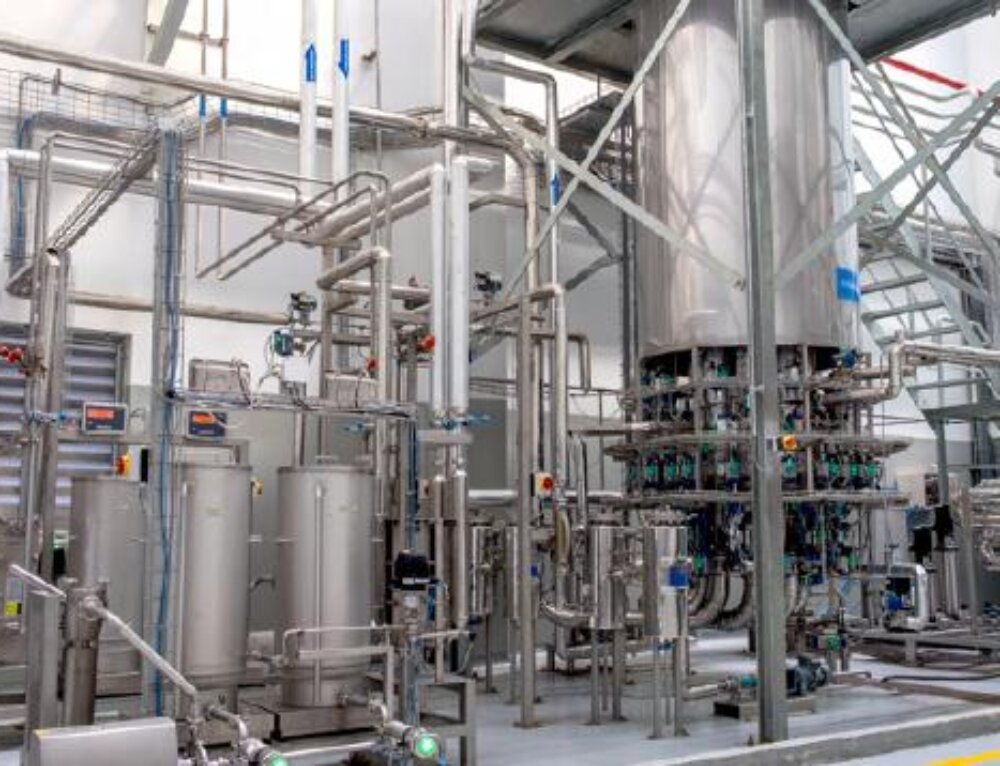 Liquid Egg Pasteurization Process Introduction - IBC MACHINE
